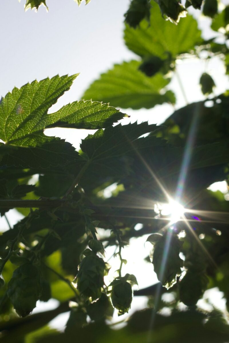 7 Keys To Marketing Under Economic Adversity - Branding Strategy Insider